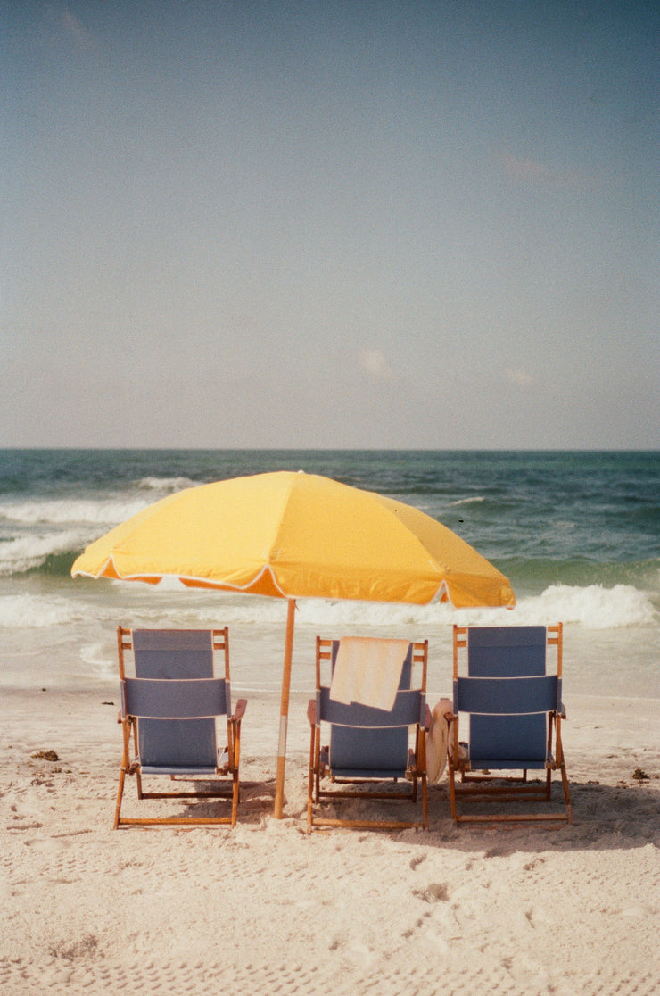 Carolyn Allen Prints